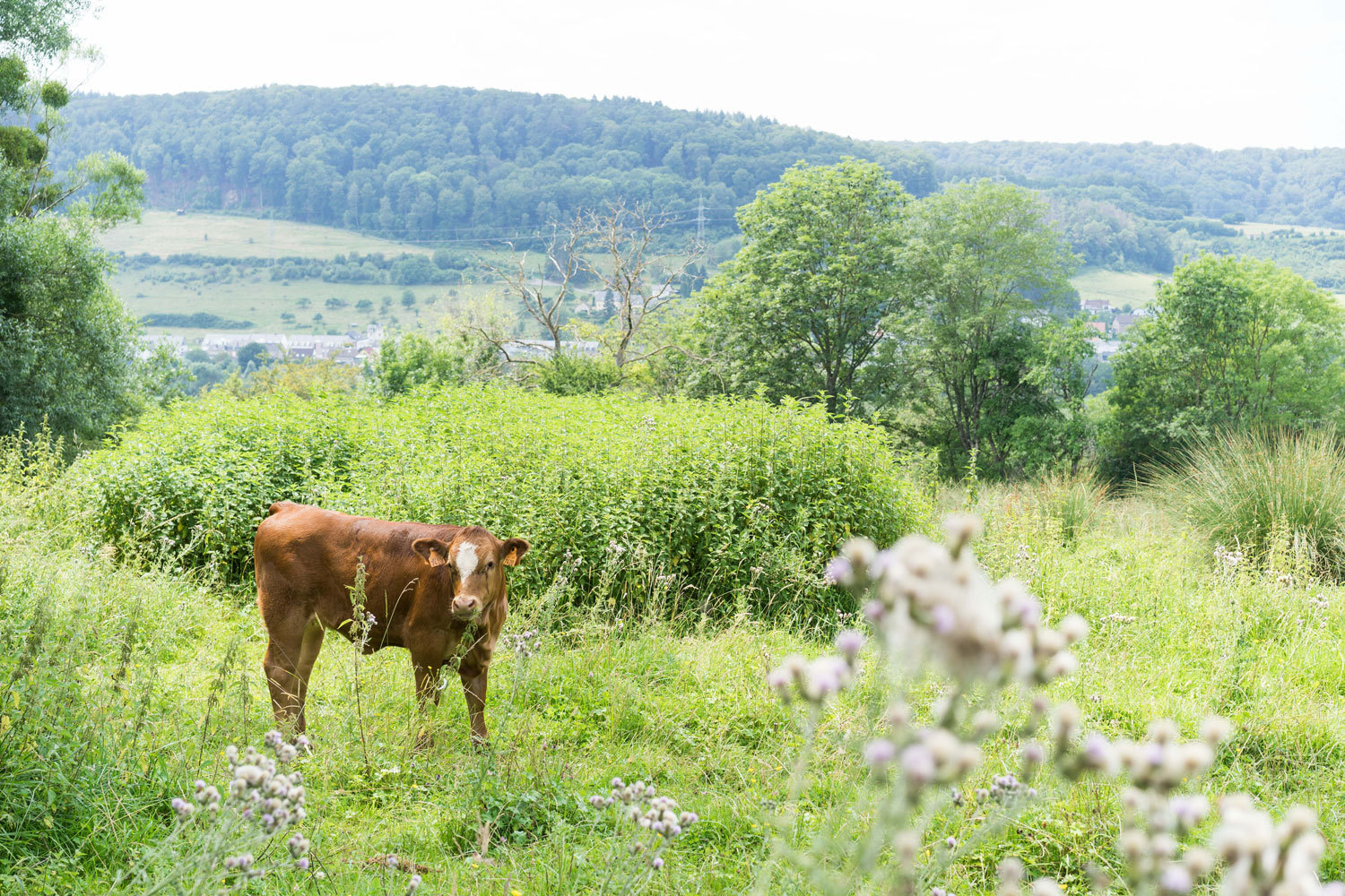 Gérer durablement | Biog
