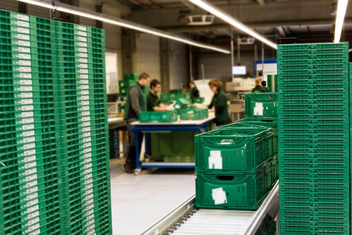 BIOGROS actively contributes to climate action | Biog