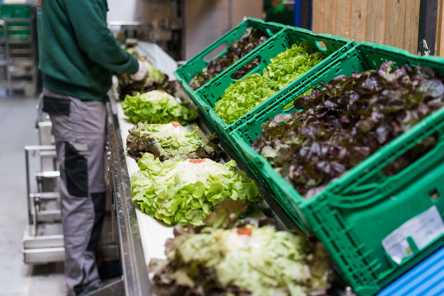 Successful together in the circular economy | Biog